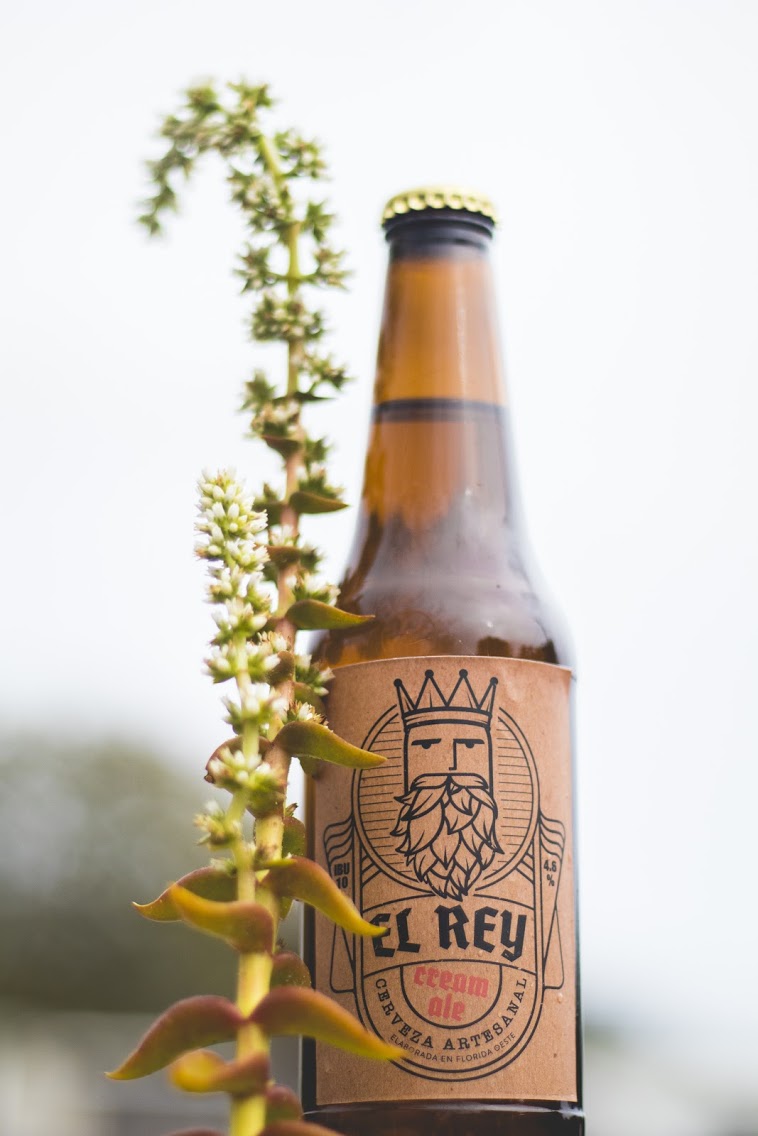 El Rey. Cerveza artesanal – San Miguel Arcángel